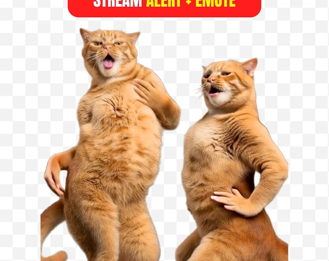 Funny Dancing Cat Twitch Alert & Emote, Sassy Animated Stream Alert ...