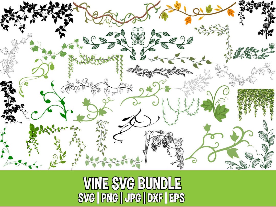 Vine Silhouette SVG: Leaf Vines Vector Graphics (PNG, DXF) - Etsy