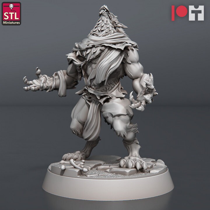 Dnd Werewolves and Wolves Miniatures Bundle, D&D Dungeon Quest Set ...