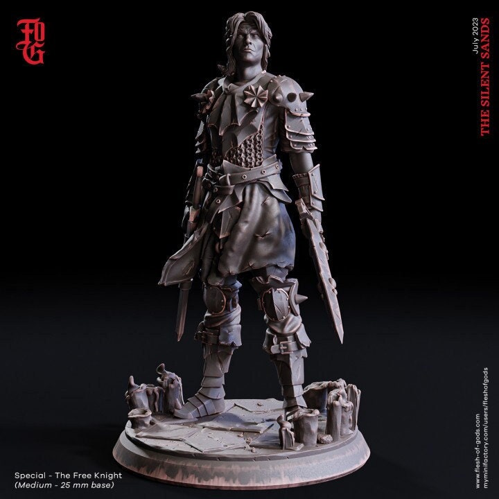 Dnd Young Squire Paladin Miniature for D&D Hero Character for Dungeons ...