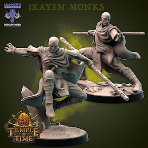 Dnd Human Monk Miniature for Dnd Mini Fighter Characters Mini for Dungeons and Dragons Mini for ...