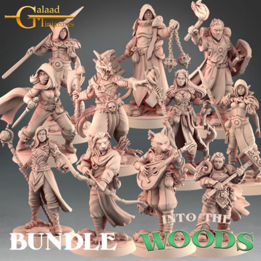 Dnd Hero Miniatures Bundle Playable Characters Mini for Dungeons and ...