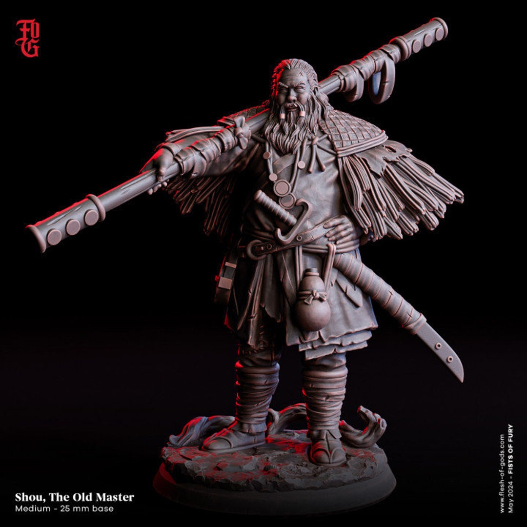 Dnd Human Monk Miniature for D&D Tavern Brawler Hero Character for ...