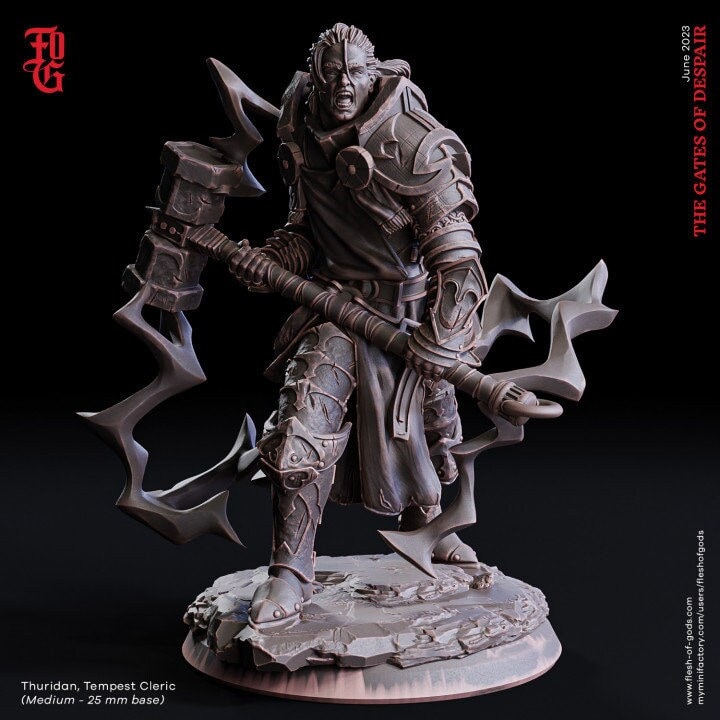 Dnd Human Tempest Cleric Miniature for D&D Hero Character for Dungeons ...