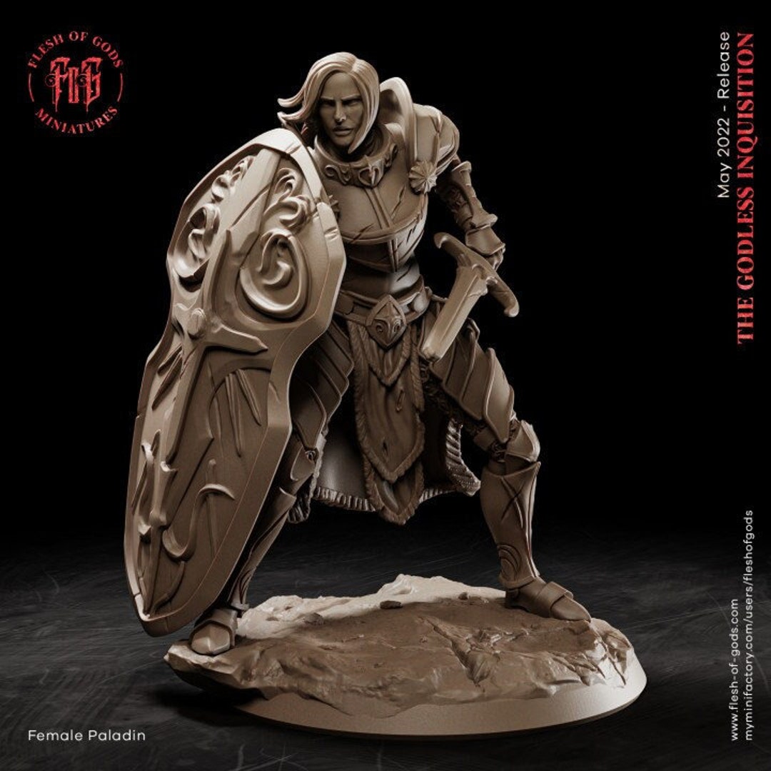 Dnd Female Paladin Miniature for D&D Hero Character for Dungeons and ...