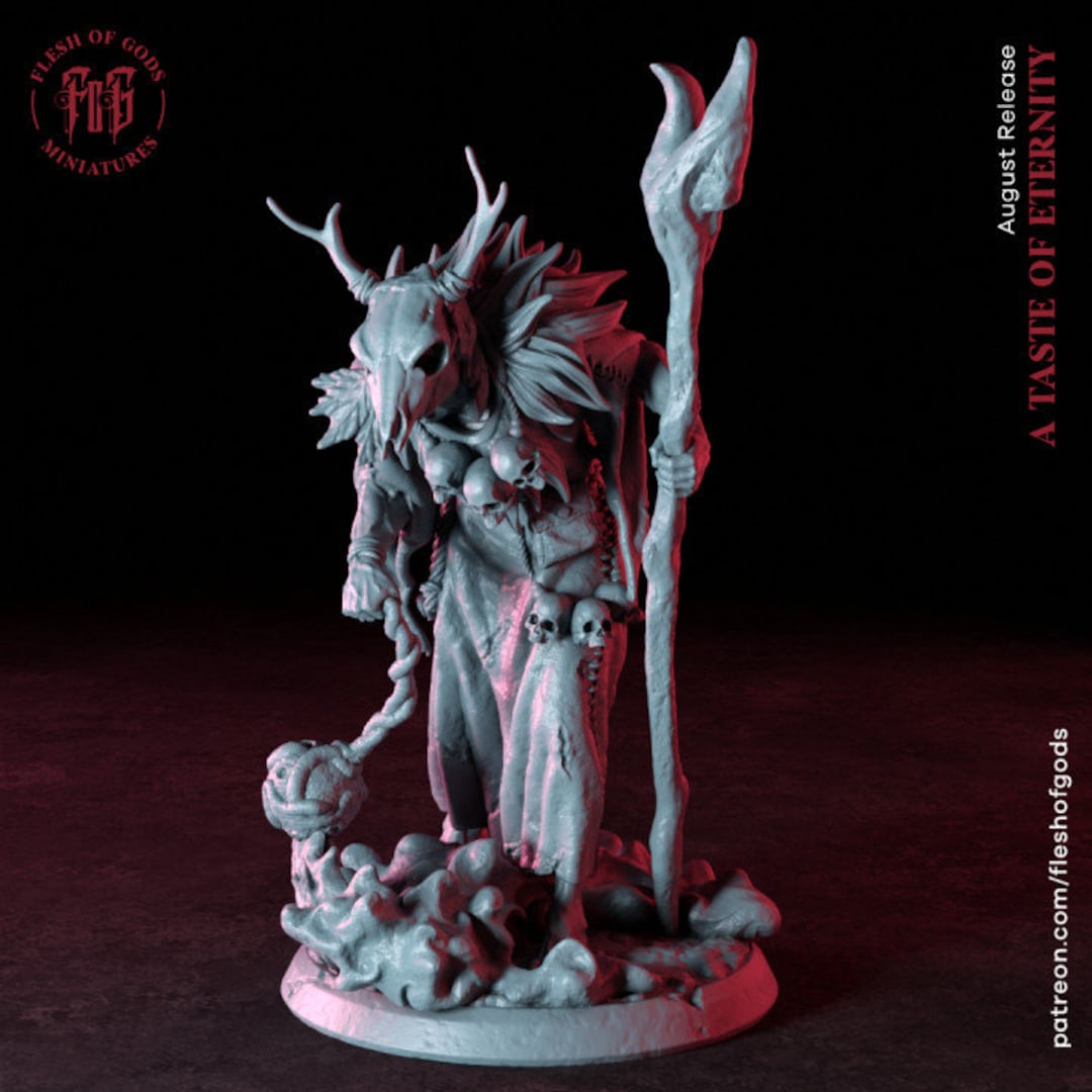 Dnd Human Ravenlord Miniature for D&D Shaman Hero Character for ...