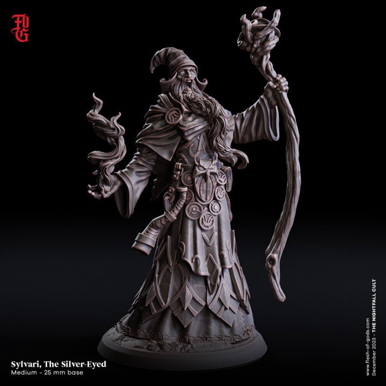 Dnd Crazed Necromancer Wizard Miniature for D&D Hero Character for ...