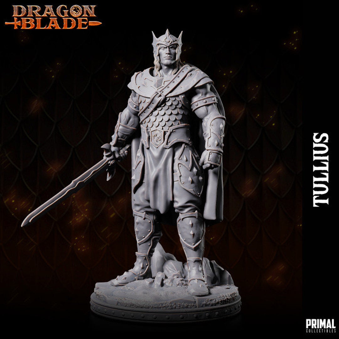 Dnd Human Paladin Knight Miniature for D&D Hero Character for Dungeons ...