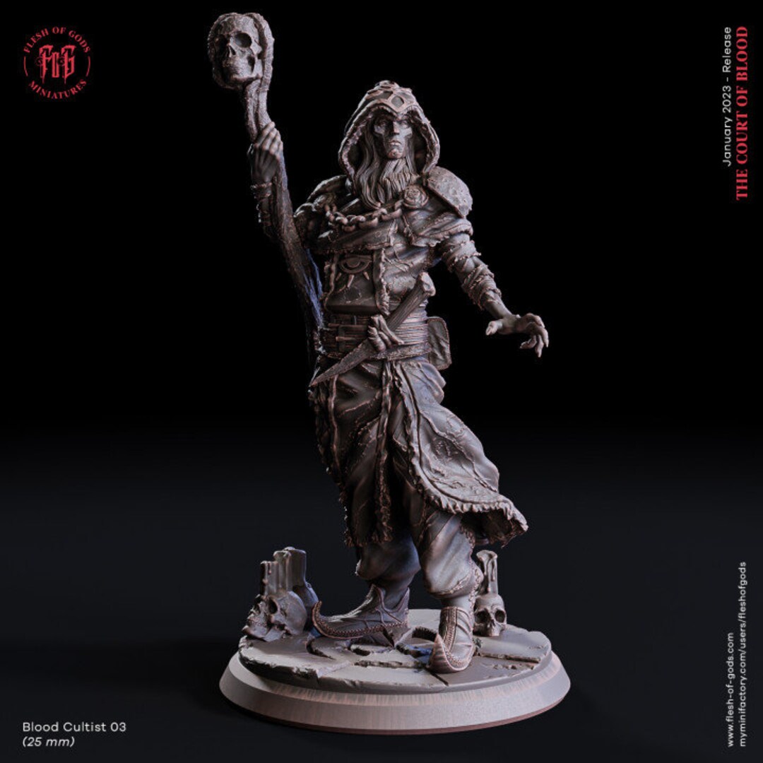 Dnd Necromancer Miniature for D&D Warlock Sorcerer Hero Character for ...