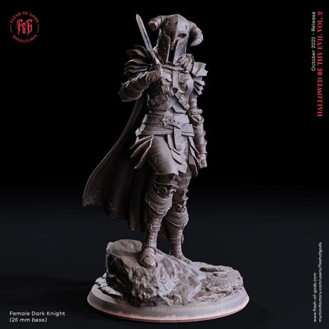 Dnd Human Noble Knight Miniature for D&D Hero Character for Dungeons ...