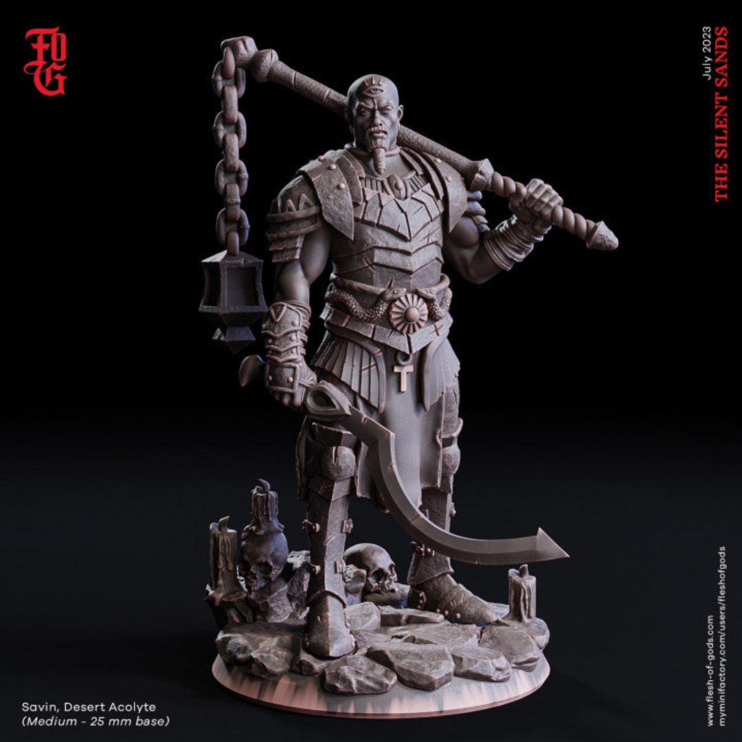 Dnd Human Gladiator Champion Miniature for D&D Hero Character for ...