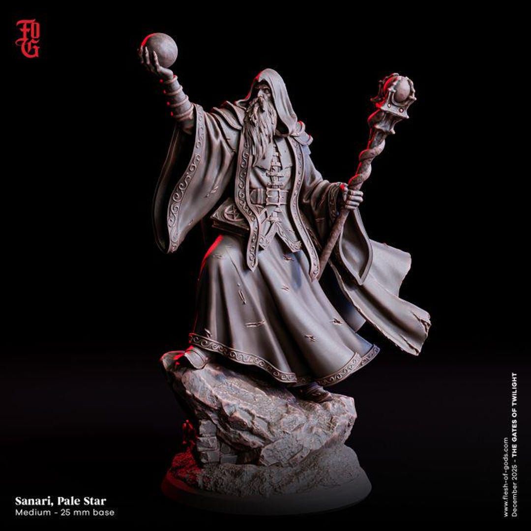 Dnd Dark Necromancer Wizard Miniature for D&D Warlock Hero Character ...