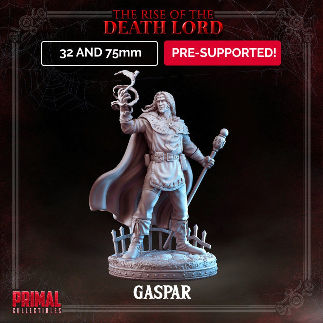 Dnd Dark Necromancer Wizard Miniature for D&D Warlock Hero Character ...