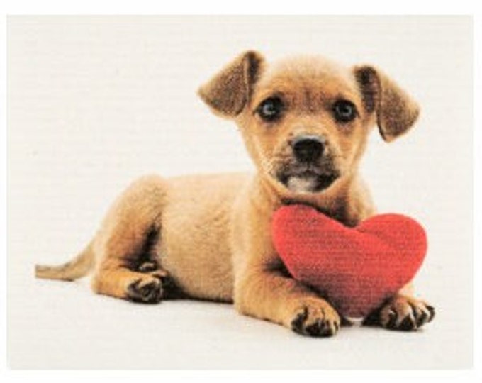 Fluffball Dog Sponge Cloth - Etsy