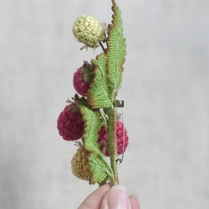 Crochet Raspberry Pattern, Crochet Food, Crochet Berry, Crochet Fruit, Crochet Doll Food ...