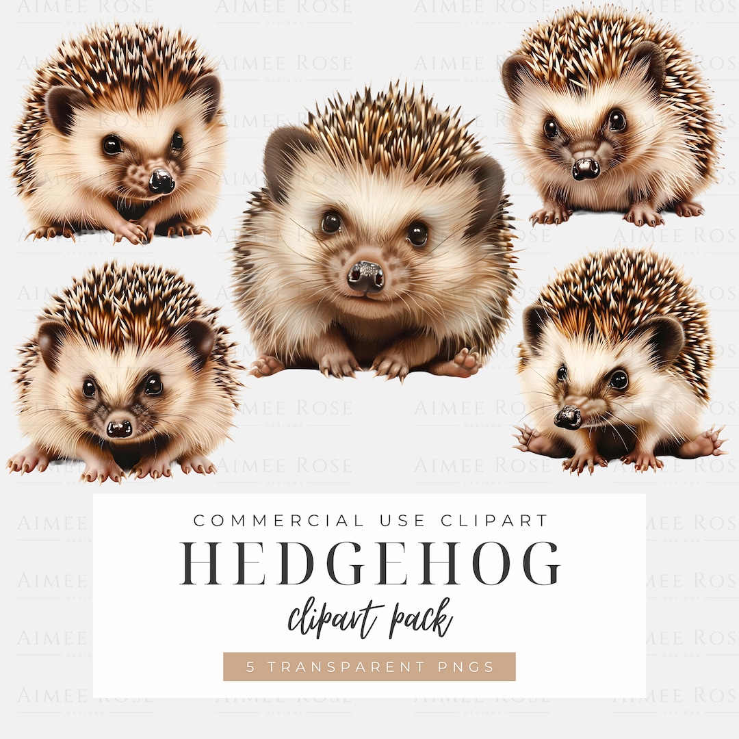 Hedgehog Clipart Bundle - High-resolution PNG, Instant Download, Cute ...