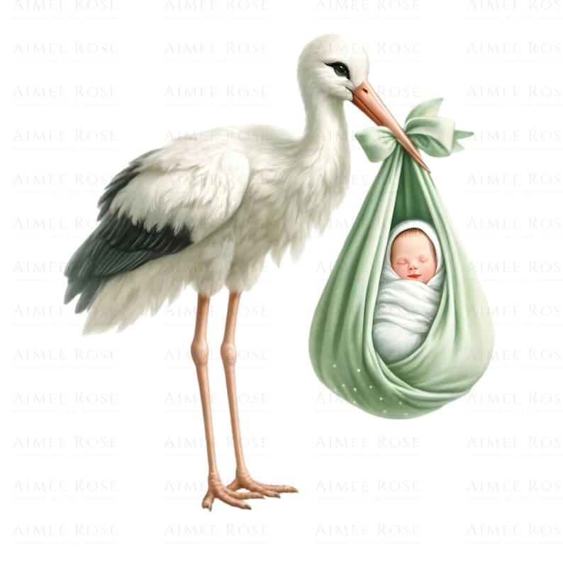 Gender Neutral Stork Delivery Clipart - Baby Reveal Illustration ...