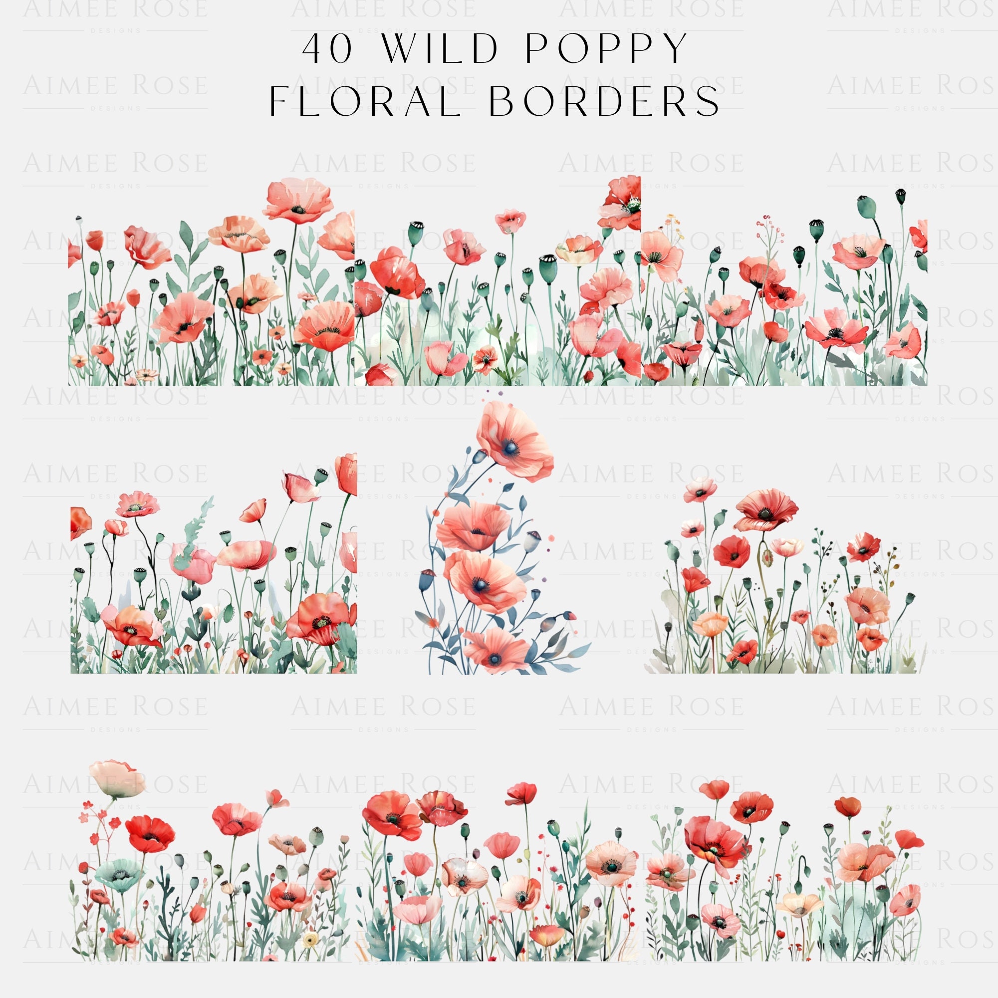 Wild Poppy Floral Borders - Transparent Clipart, 40 Pngs, Invitations ...