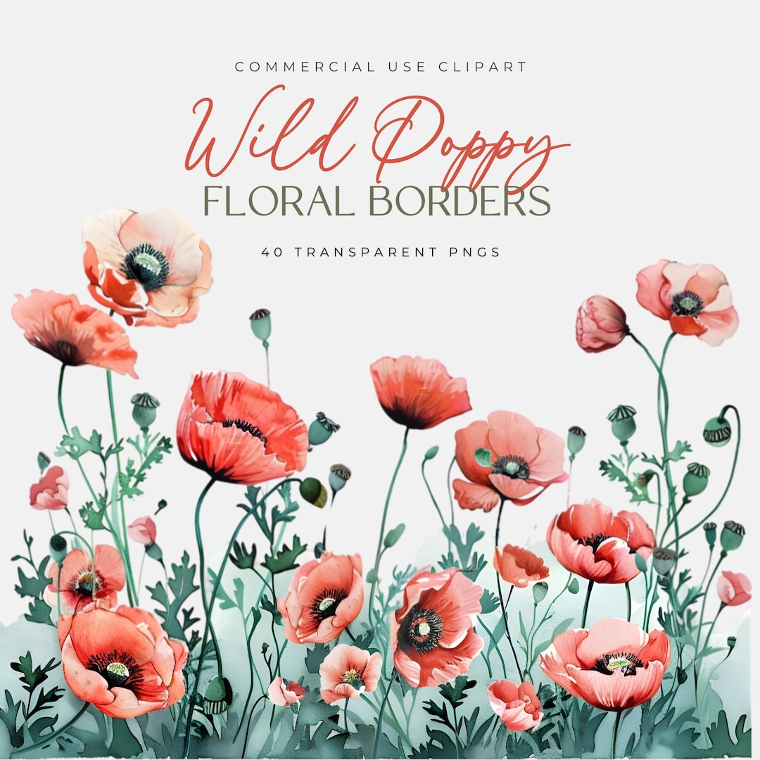 Wild Poppy Floral Borders - Transparent Clipart, 40 Pngs, Invitations ...