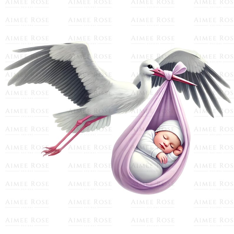Baby Lilac Stork Clipart Bundle, High Quality Sublimation PNG. Purple ...