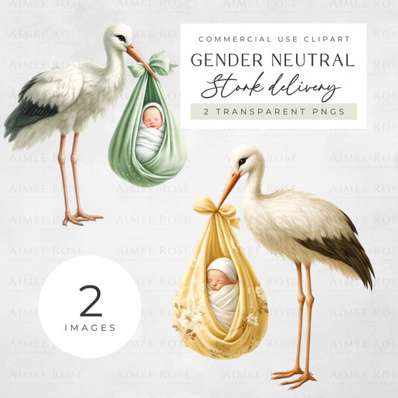 What Does A Baby Stork Look Like