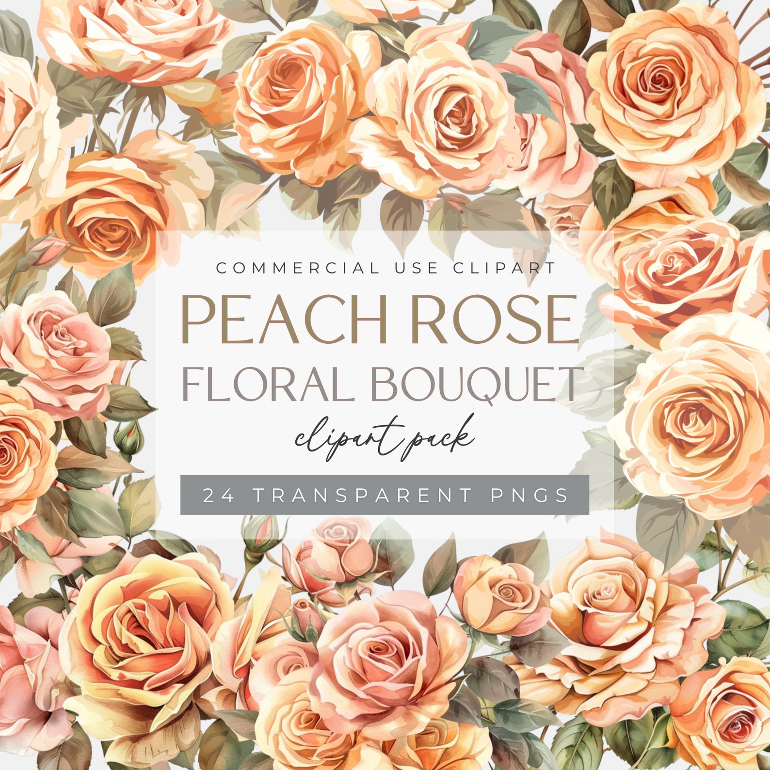 Peach Rose Clipart Pack Floral Bouquet Pngs, Transparent Background ...