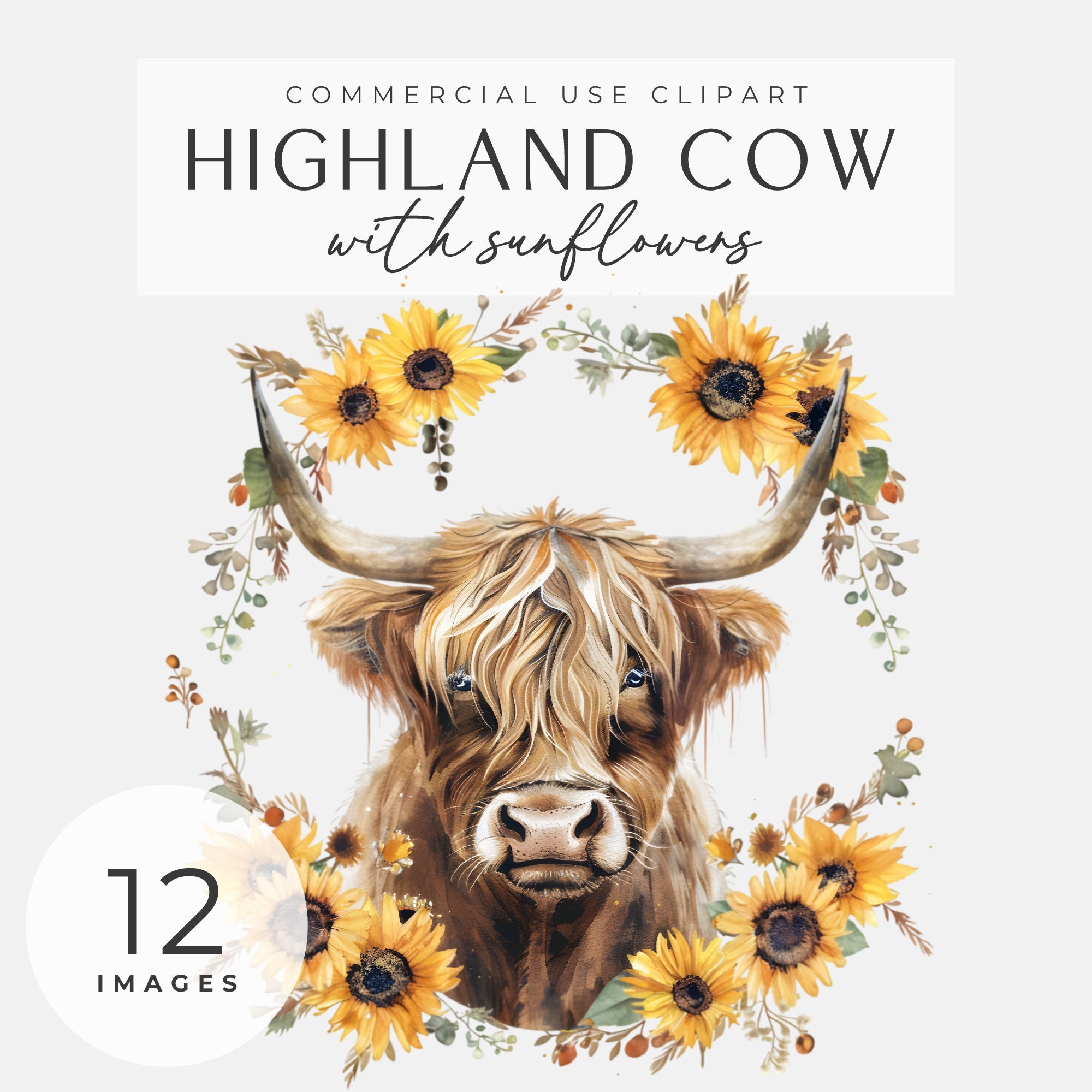 Highland Cow Clipart With Sunflowers, 12 PNG Images, Transparent Images ...