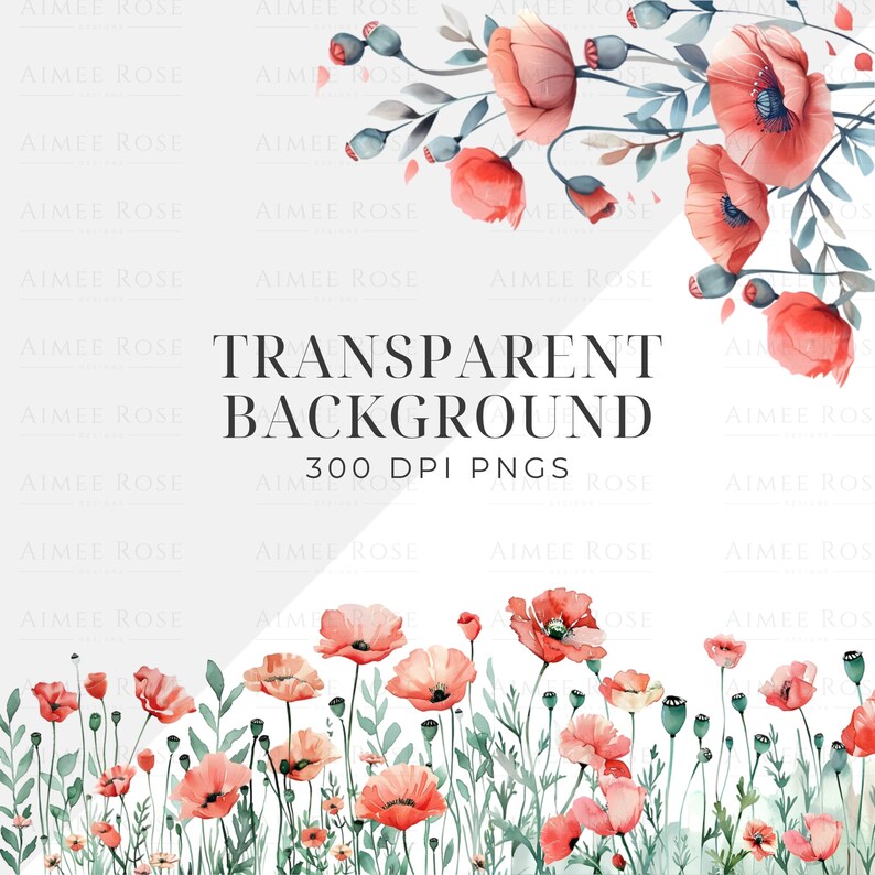 Wild Poppy Floral Borders - Transparent Clipart, 40 Pngs, Invitations ...