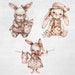 Watercolor Miss Rabbit Clipart Set - 14 PNG 300dpi | Nursery Art ...