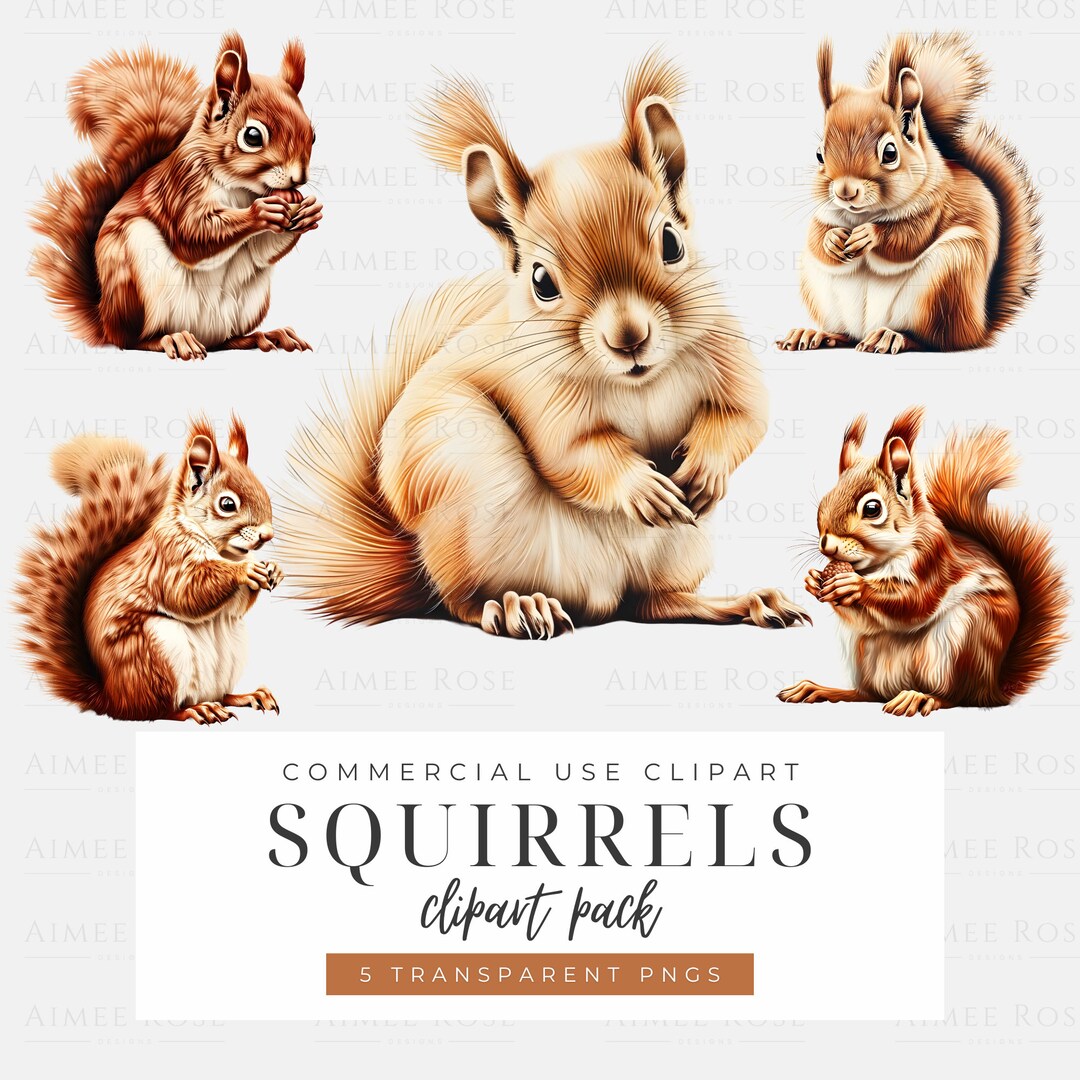 Squirrel Clipart Collection - High-resolution PNG, Instant Download ...