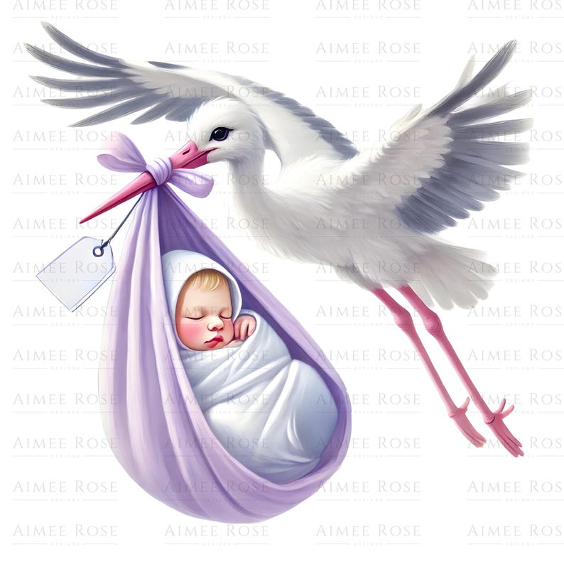 Baby Lilac Stork Clipart Bundle, High Quality Sublimation PNG. Purple ...