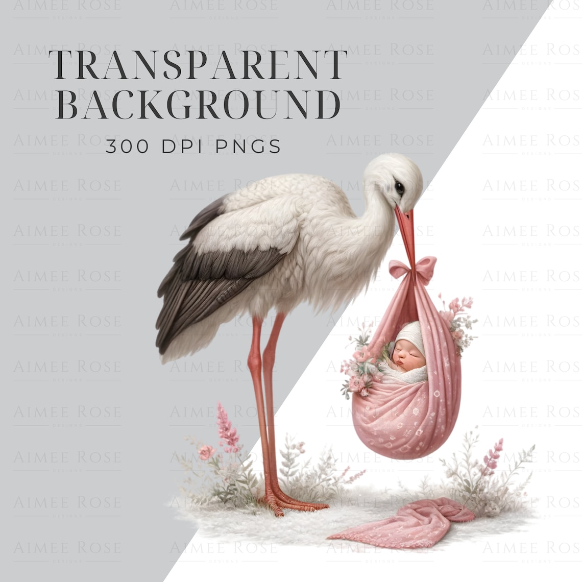 Stork Delivery Clipart - Baby Girl Announcement, Newborn Illustration ...