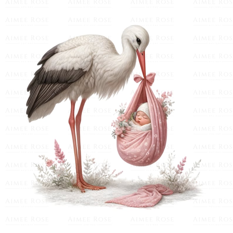 Stork Delivery Clipart - Baby Girl Announcement, Newborn Illustration ...