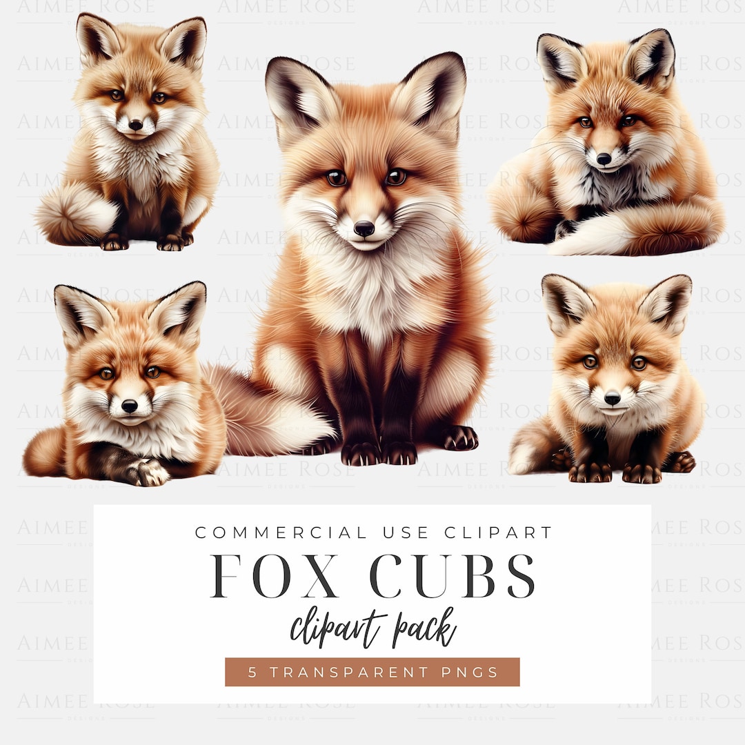 Fox Cub Clipart Set - Cute Foxy PNG Images, Transparent Background ...