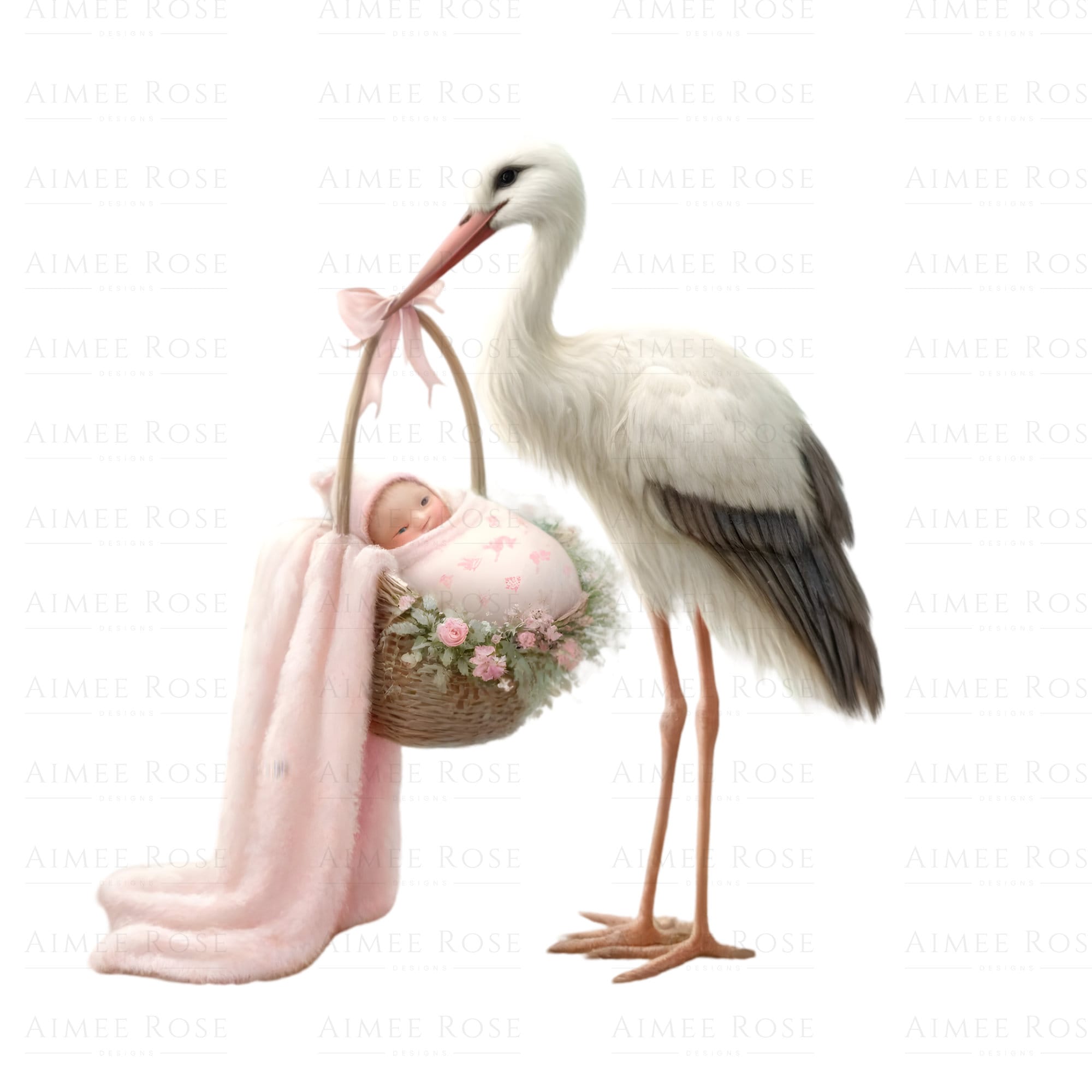 Stork Delivery Clipart - Baby Girl Announcement, Newborn Illustration ...