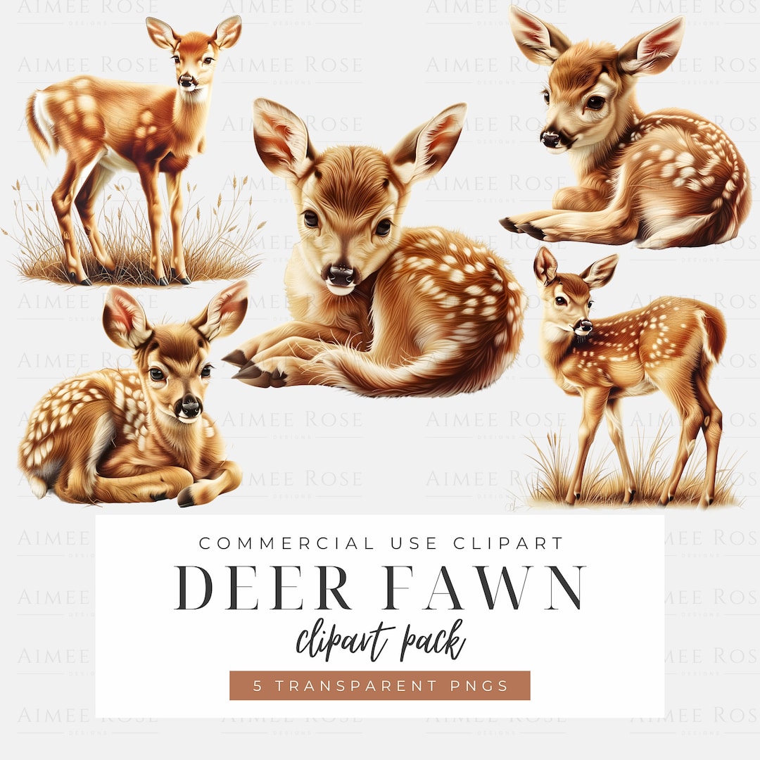 Deer Fawn Clipart Bundle - Baby Deer PNG, Transparent Background ...
