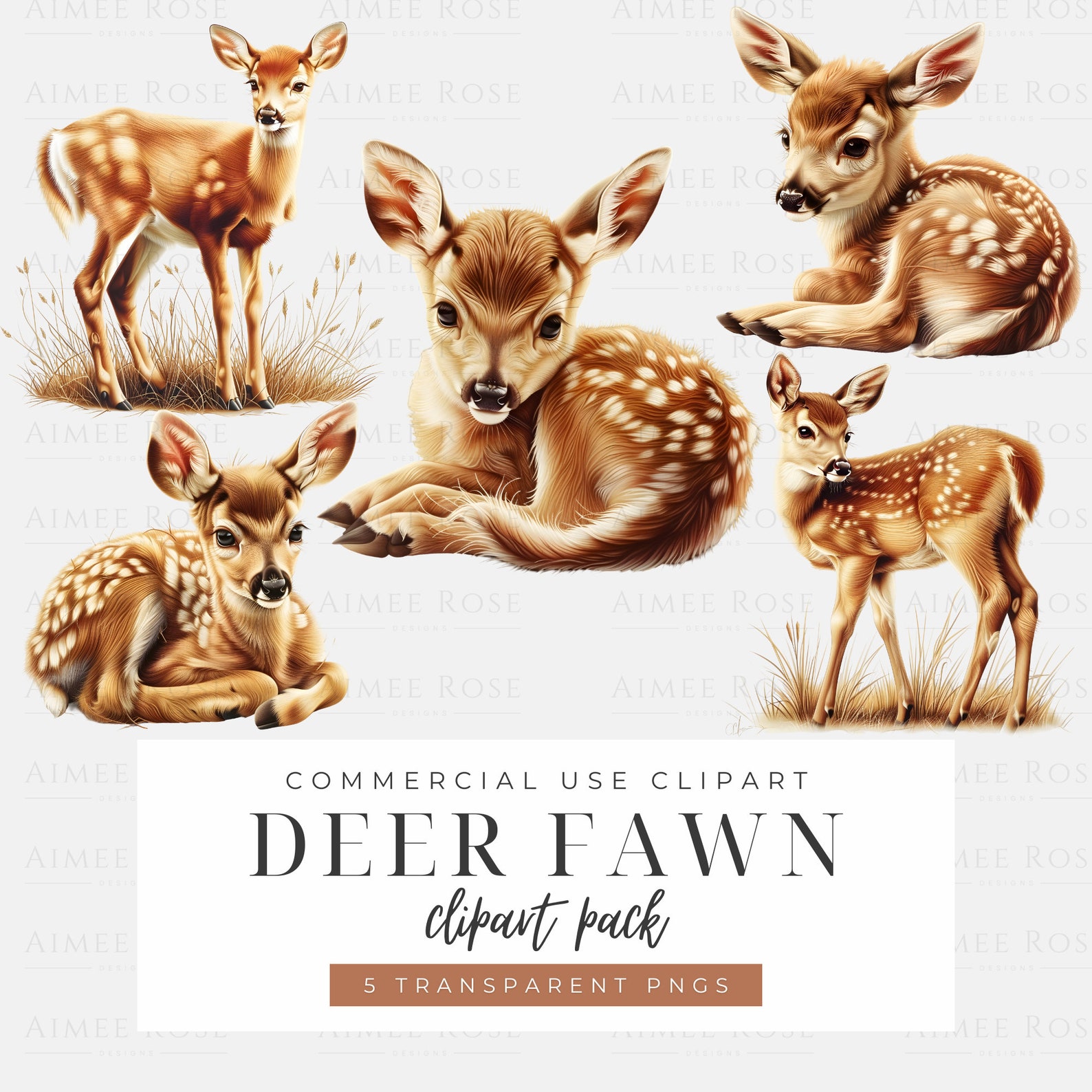 Deer Fawn Clipart Bundle - Baby Deer PNG, Transparent Background ...