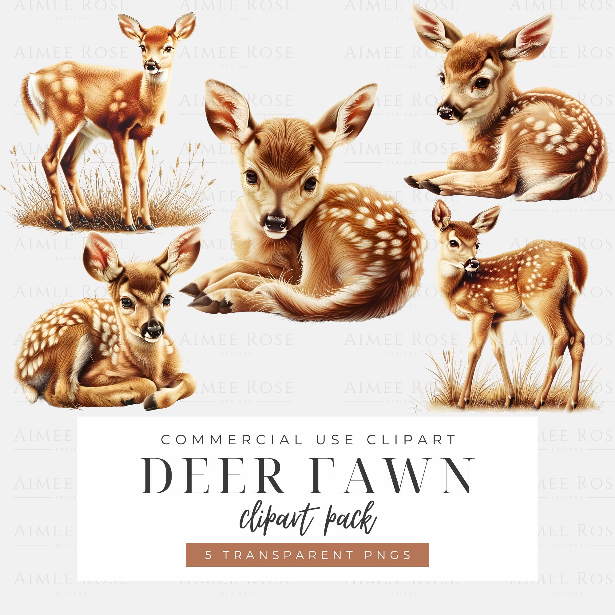 Deer Fawn Clipart Bundle - Baby Deer PNG, Transparent Background ...