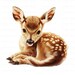 Deer Fawn Clipart Bundle - Baby Deer PNG, Transparent Background ...