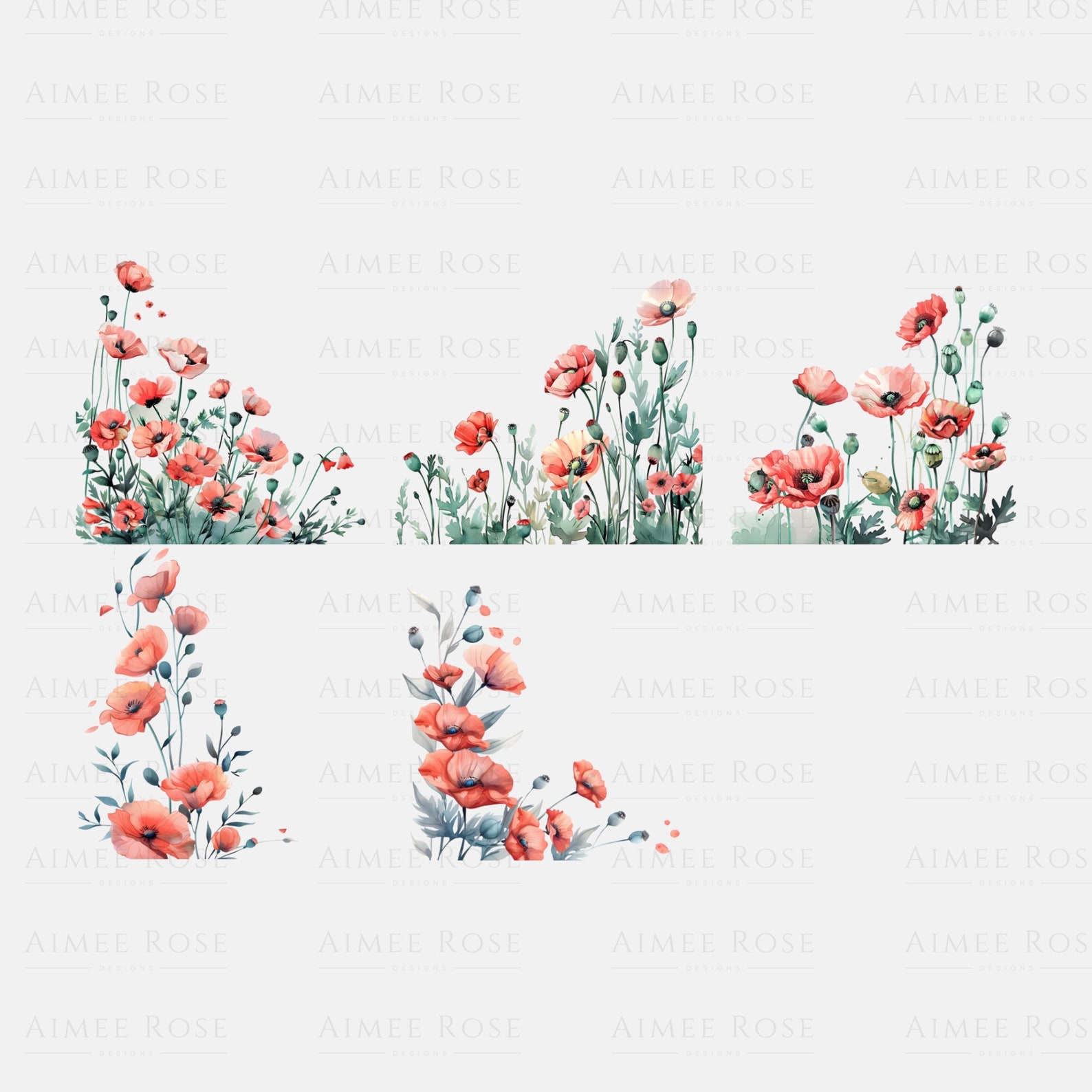 Wild Poppy Floral Borders - Transparent Clipart, 40 Pngs, Invitations ...