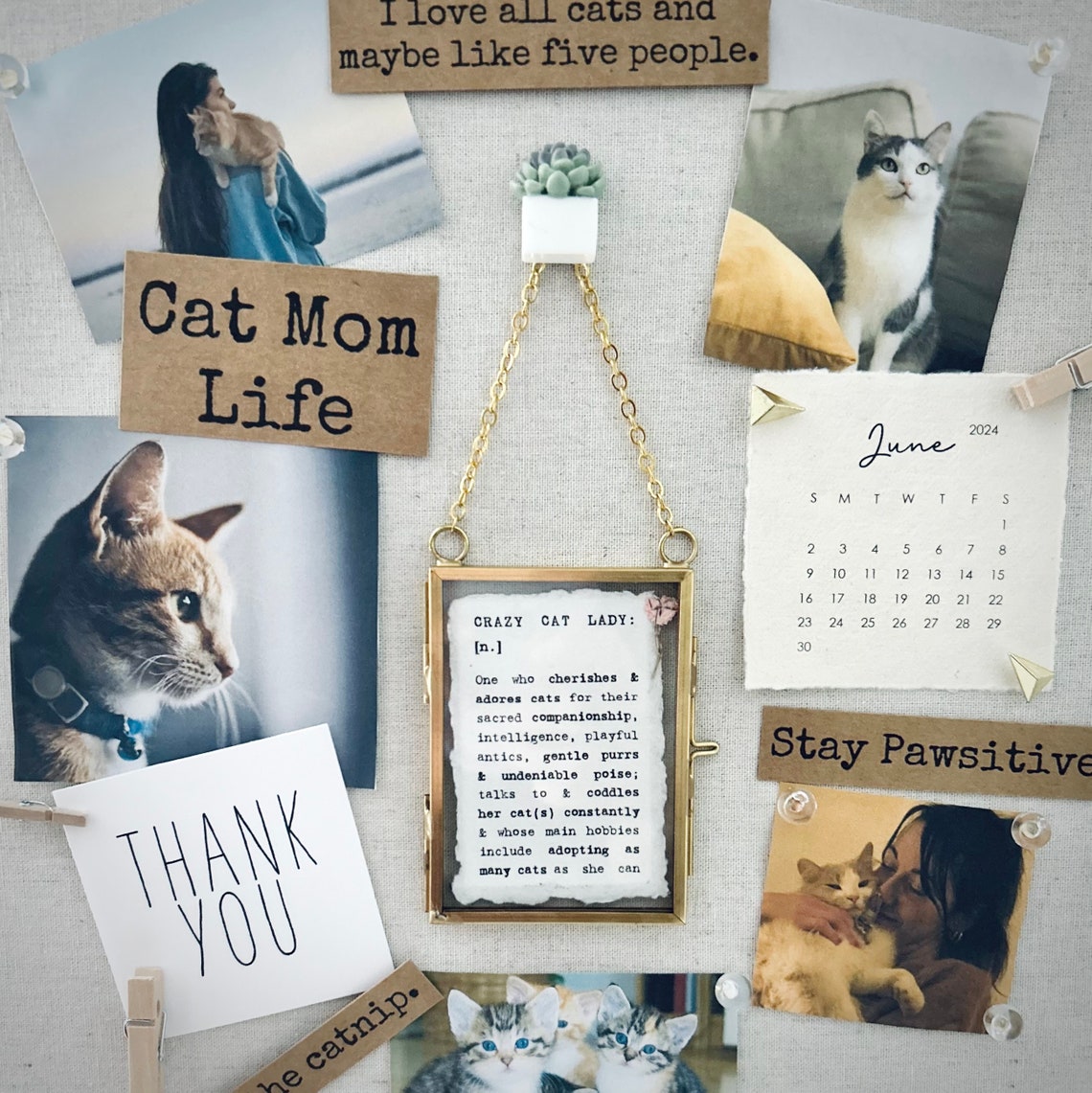 Crazy Cat Lady Definition Print: Framed Cotton Paper Wall Hanging - Etsy