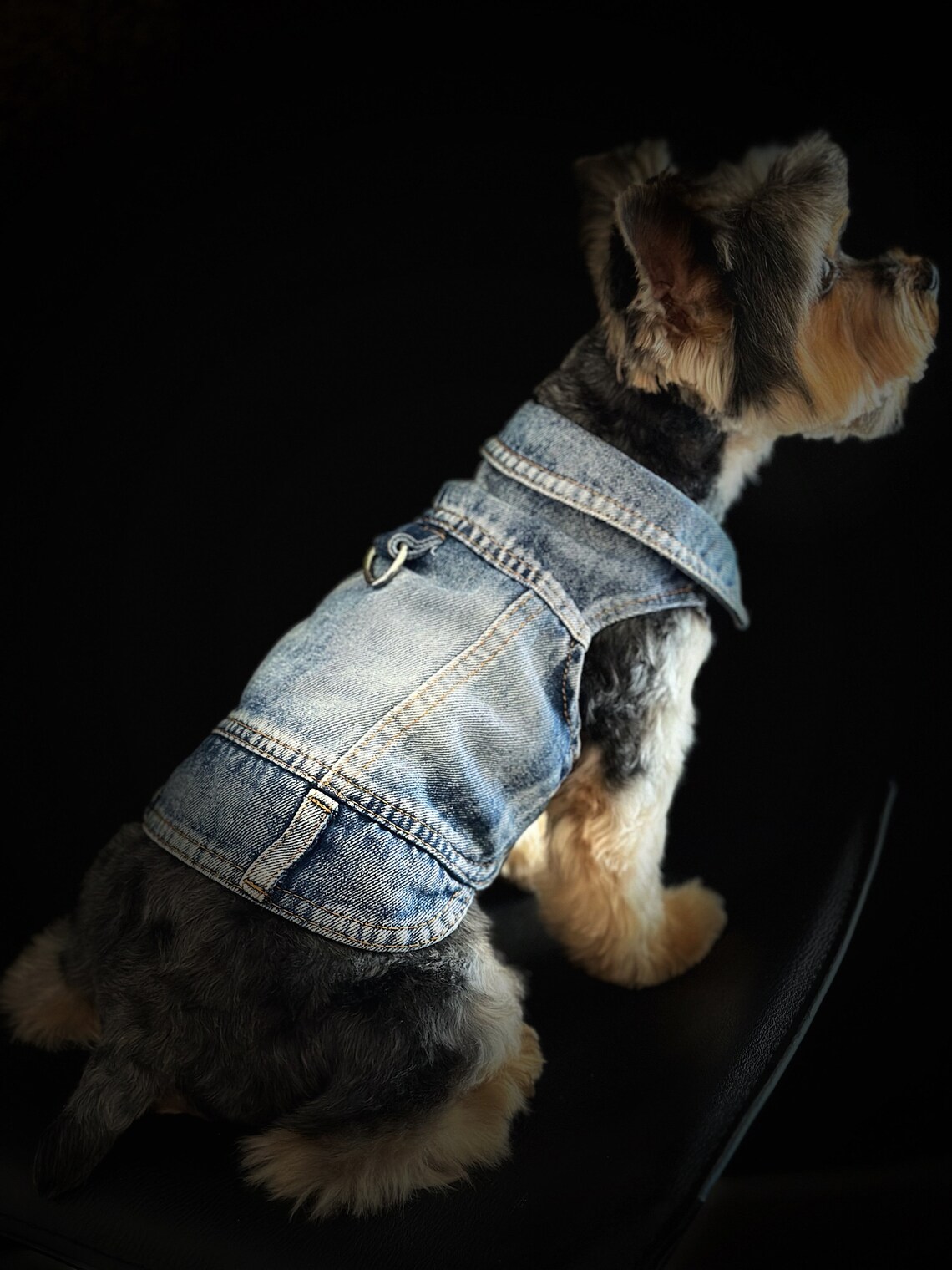 Comfy Doggie Denim Jacket: Stylish Comfort for Your Pup's Adventures - Etsy