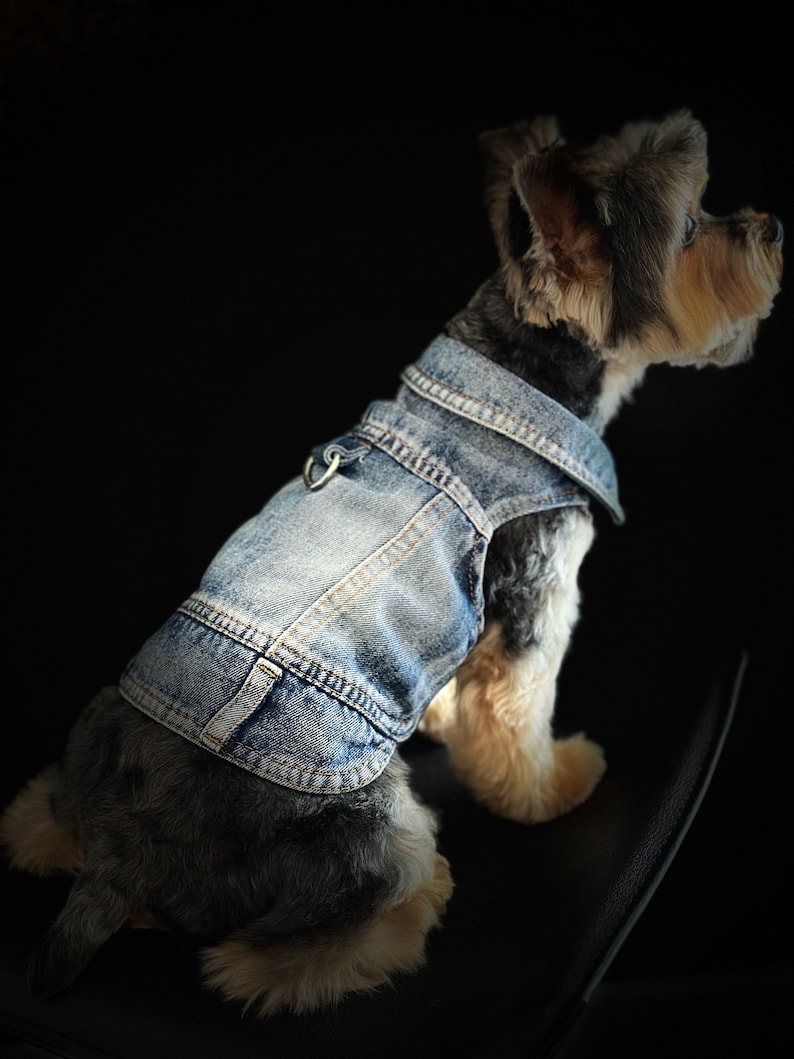 Comfy Doggie Denim Jacket: Stylish Comfort for Your Pup's Adventures - Etsy