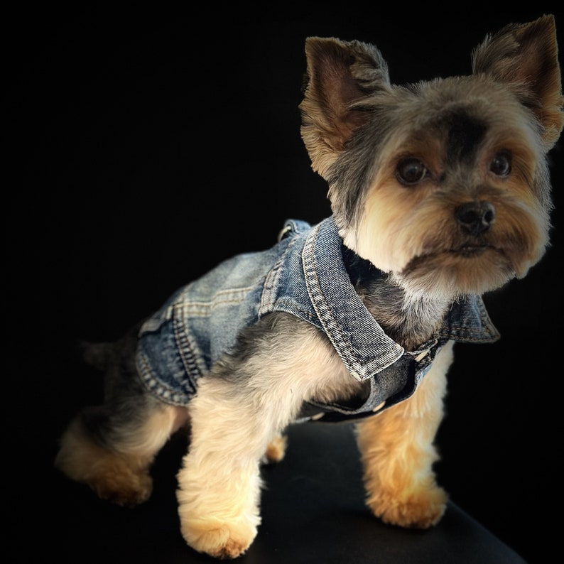 Comfy Doggie Denim Jacket: Stylish Comfort for Your Pup's Adventures - Etsy