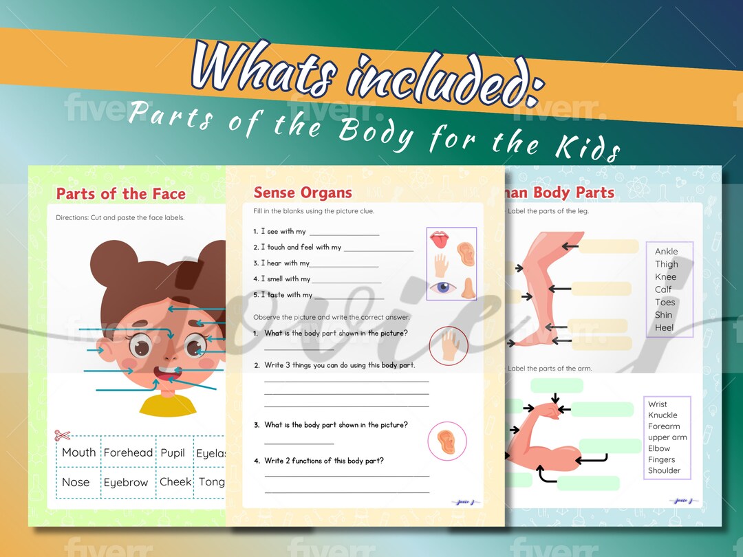 Parts of the Body, Kids Anatomy Worksheets, Homeschool Science ...
