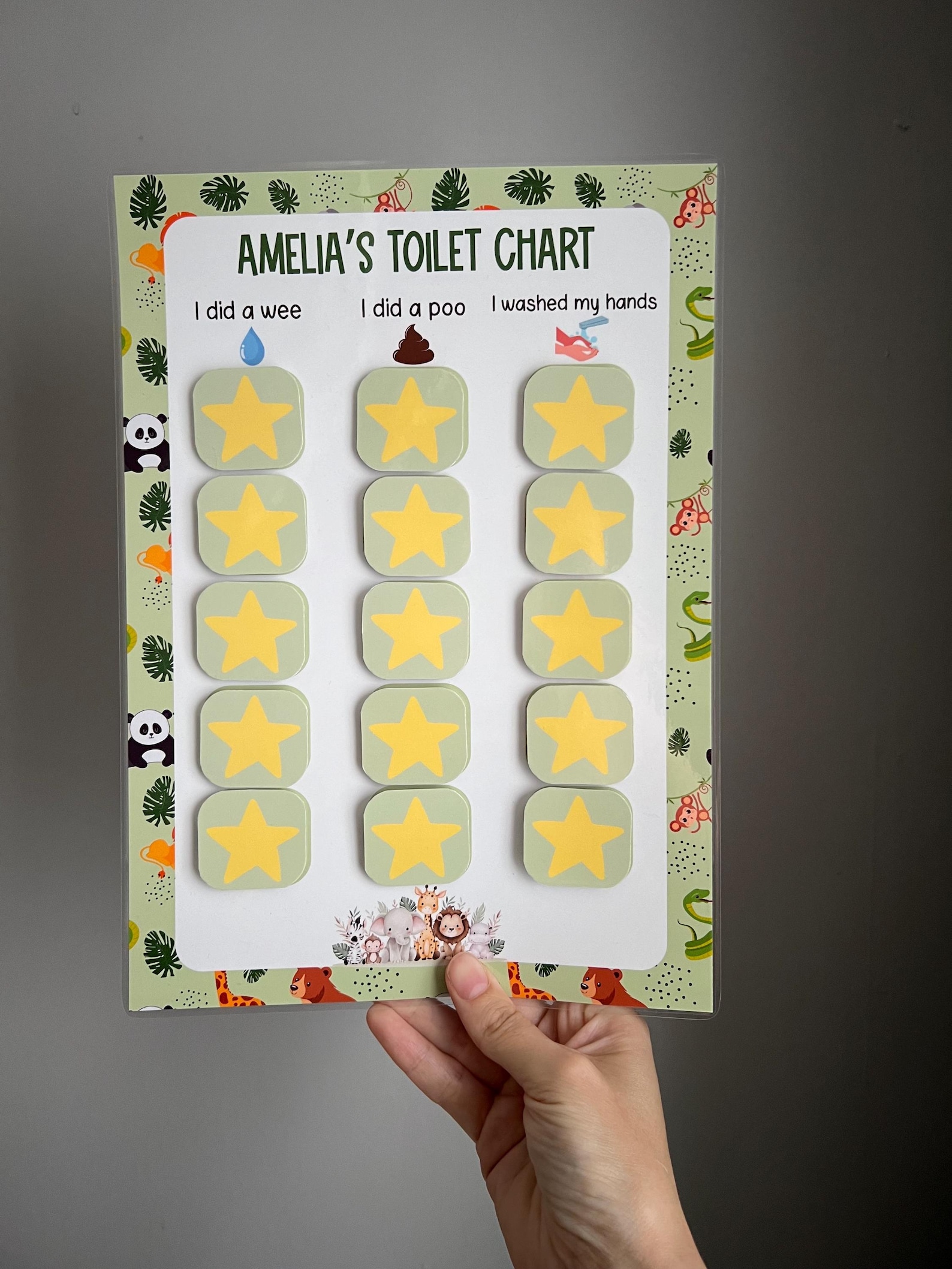 Toilet Training Chart, Potty Training Chart, Toilet Training Visual ...