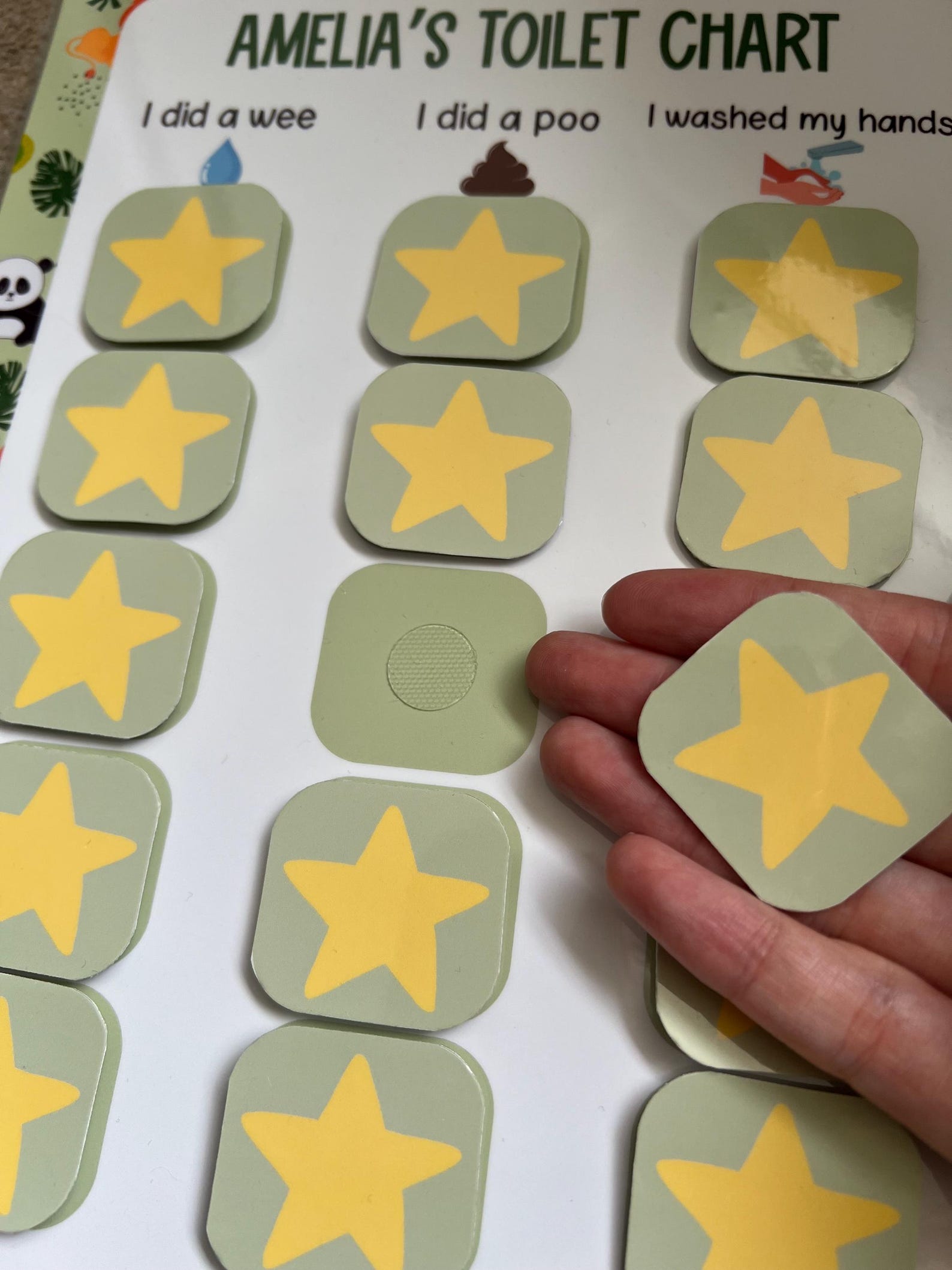 Toilet Training Chart, Potty Training Chart, Toilet Training Visual ...