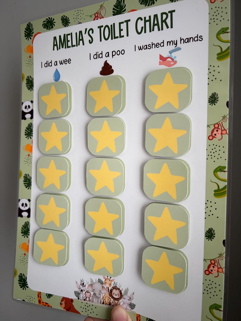 Toilet Training Chart, Potty Training Chart, Toilet Training Visual ...