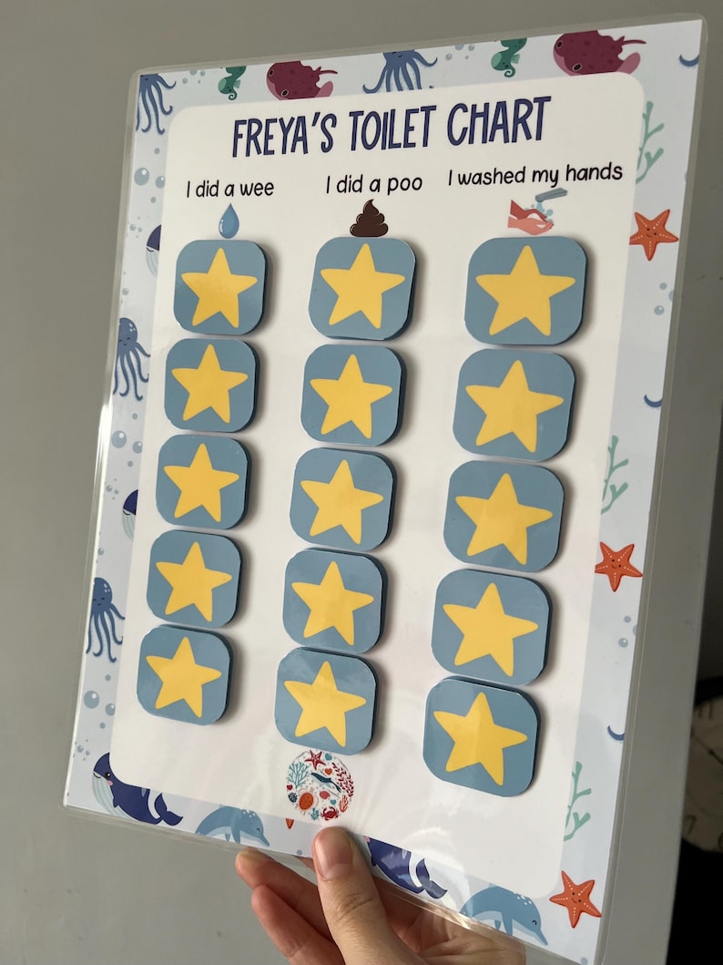 Toilet Training Chart, Potty Training Chart, Toilet Training Visual ...