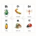 Arthropods A-Z Alphabet Flash Cards Bugs Illustration Artistic ...